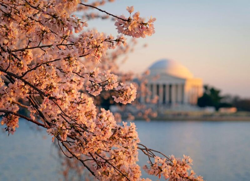 From New York: 7-Day Guided East Coast Cities & Sites Tour - Final Thoughts: Is This Tour for You?