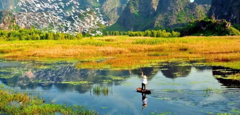 From Ninh Binh: Cuc Phuong National Park Day Trip with Lunch - Who Will Love This Tour?