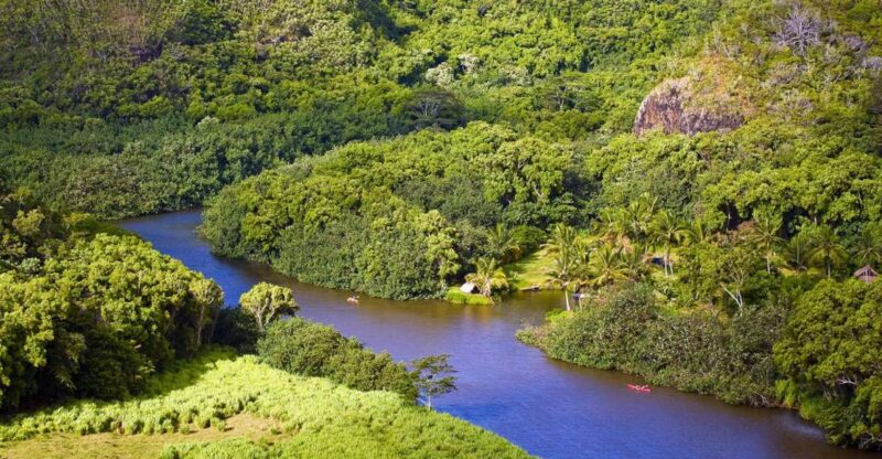 From Oahu: Kauai Waimea Canyon & Wailua River Tour - Wailua River and Fern Grotto