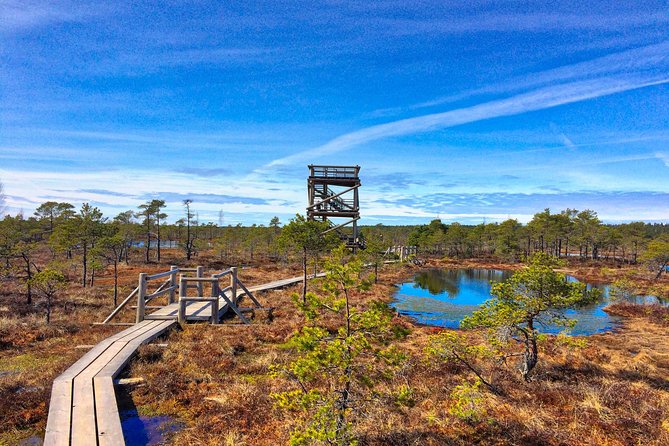 From Riga: Best of Kemeri National Park In One Day - Pickup and Timing