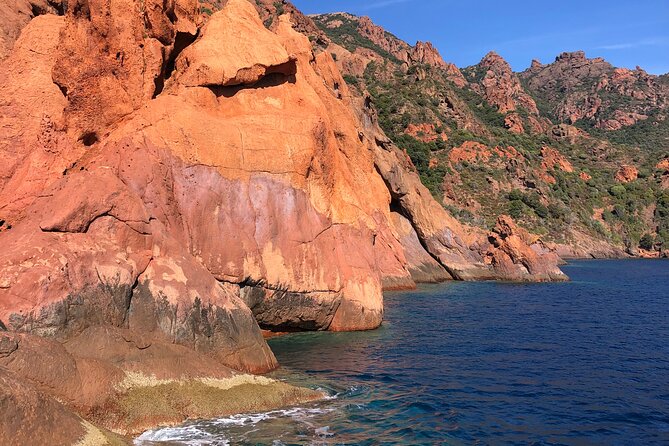 From Sagone/Cargèse: Scandola Girolata Calanques Piana Snorkeling - Positive Experiences and Highlights