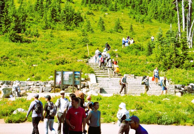From Seattle: Customized Mount Rainier Tour - Practical Tips for Travelers