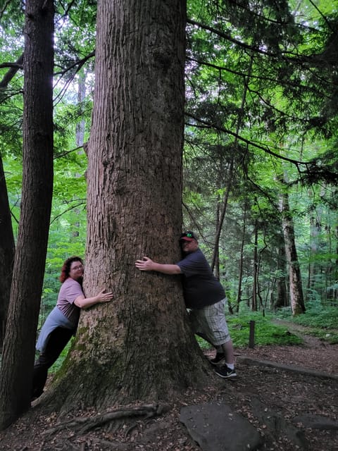 From Townsend: Great Smoky Mountains National Park Hiking - FAQ