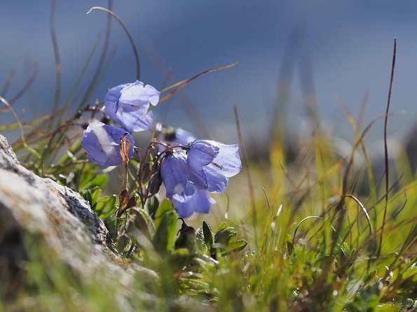 From Verona: Full-Day Dolomites Mountains Trip - Cancellation and Booking Information