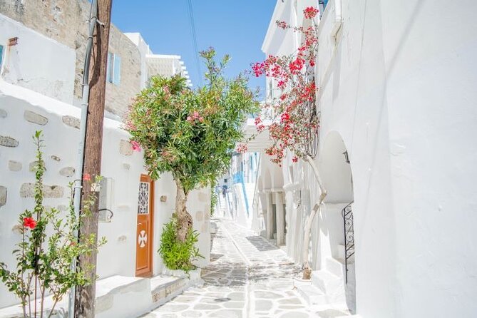 Full Day Bus Tour in Paros and Antiparos Islands From Paros - Customer Reviews and Feedback