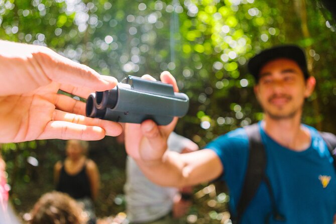 Full-Day Hakalau Forest Reserve Bird Watching Adventure - Final Thoughts: Who Should Book This Tour?
