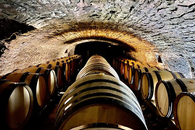 Full-Day North Burgundy and Chablis Wine Tasting Tour from Paris - Stop 2: Burgundy Village and Lunch