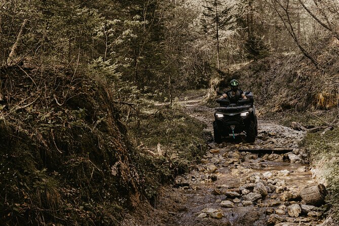Full-Day Quad Rental in Bled - Schedule and Availability