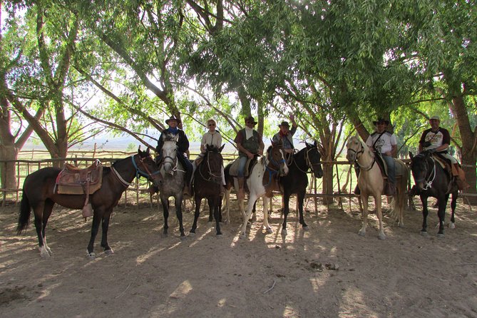Full Day Ride at the Foot of the Andes - Transportation and Accessibility Considerations