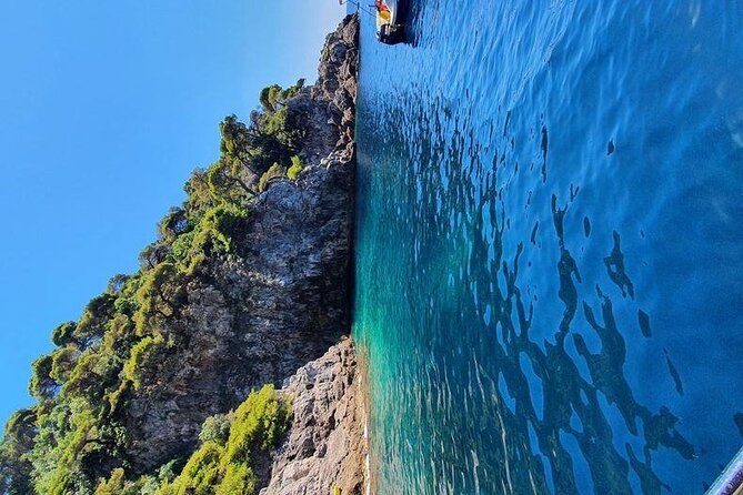 Full Day Sailing Tour To Elafiti Islands - Captain and Service Quality