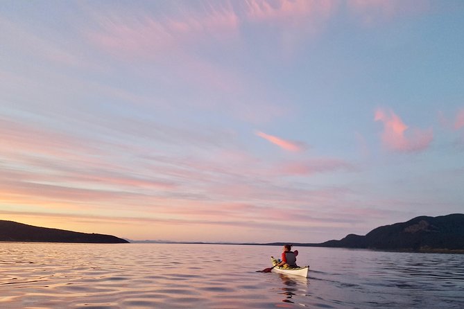 Full Day San Juan Island Kayaking Adventure - Potential Drawbacks and Considerations