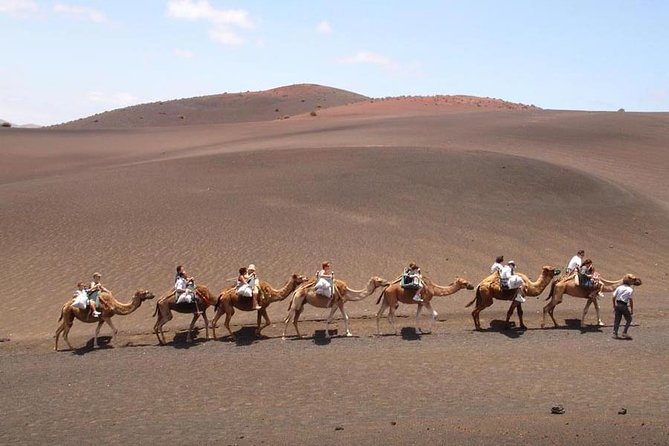 Full Day Tour to Timanfaya, Green Lagoon and La Geria - Discovering the La Geria Vineyards