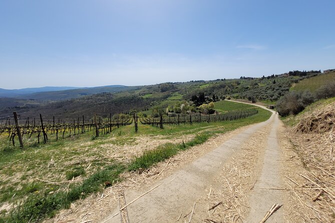 Full-Day Tuscan Hills Bike Tour With Lunch at Farm - Traveler Experiences and Feedback