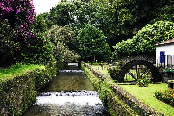 Furnas and Terra Nostra Botanic Park Guided Tour W/ Hotsprings - Experiencing the Guided Van Tour