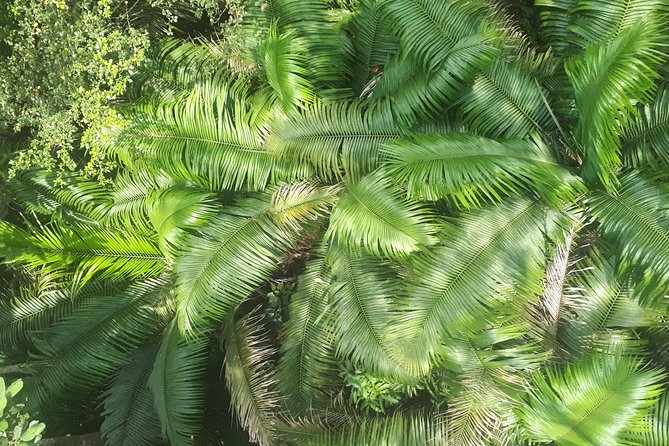 Gamboa Rainforest Experience From Panama City - Getting to the Rainforest