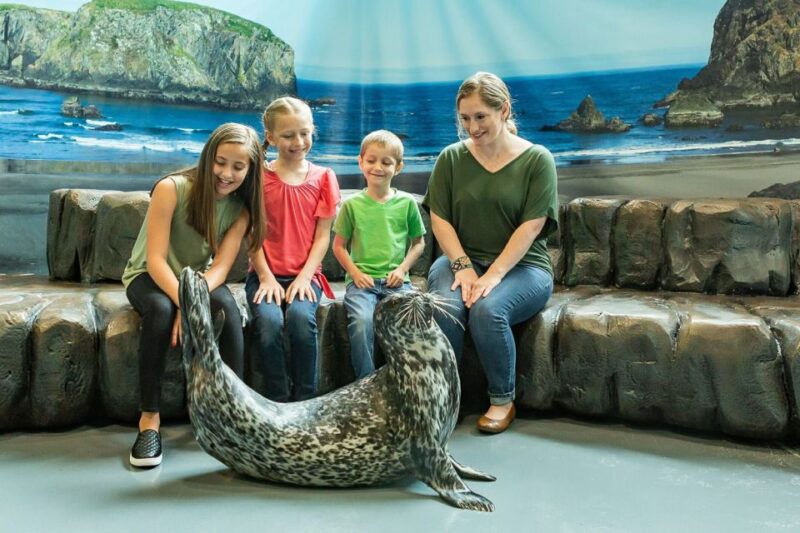 Georgia Aquarium: Sea Lion Encounter - The Interaction: Personal and Educational