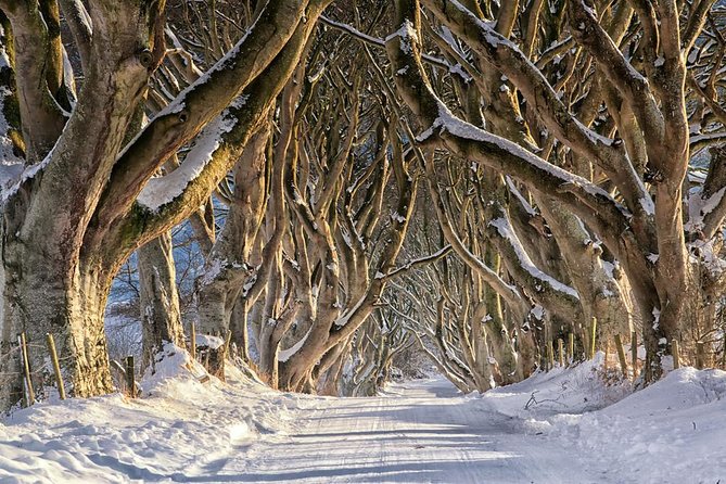 Giants Causeway and More Including Titanic Experience Ticket Tour From Belfast - The Enchantment of the Dark Hedges