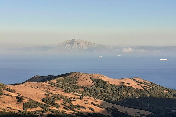 Gibraltar Private Tour From Marbella or Malaga - Travel Logistics