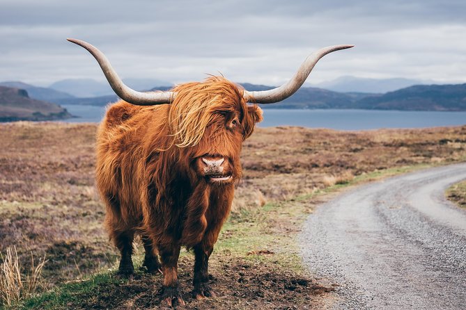 Glasgow: Isle of Skye, The Highlands and Loch Ness - 3 Day Tour - Discovering the Highlands and Loch Ness