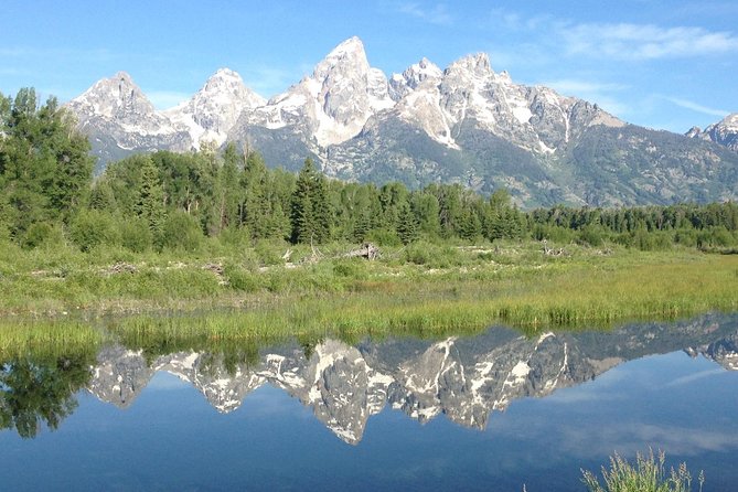 Grand Teton National Park - Full-Day Guided Tour from Jackson Hole - Authentic Feedback and Experiences