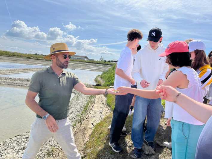 Guérande Salt Marshes Tour - Itinerary Details
