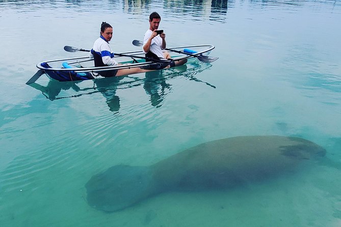 Guided Clear Kayak Eco-Tour of Jupiter - Final Thoughts