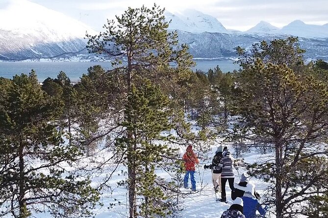 Guided Easy Snowshoeing With a Visit to Local Café - Indulging in Delectable Treats