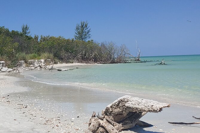 Guided Kayak EcoTour of Beautiful Shell Key Preserve - Tour Logistics and Meeting Point