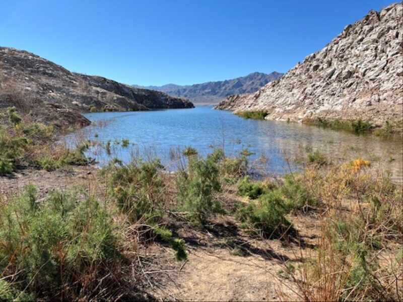 Guided Off-Road Bronco Adventure to Boathouse Cove Las Vegas - Real Experiences and Practical Details