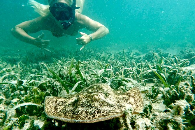 Guided Snorkel Experience, Free Videos in West Palm Beach - Meeting and Pickup Details