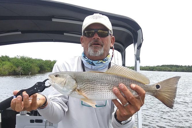 Guided Two Hour Boat Tour of the Indian River Lagoon - Wildlife Sightings and Experiences
