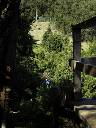 Haleakala 6 Line Zipline Adventure - Practical Details: What You Need to Know