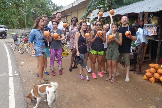 Half-Day Lagoon and Village Cycling Tour in Galle - Who Should Consider This Tour?