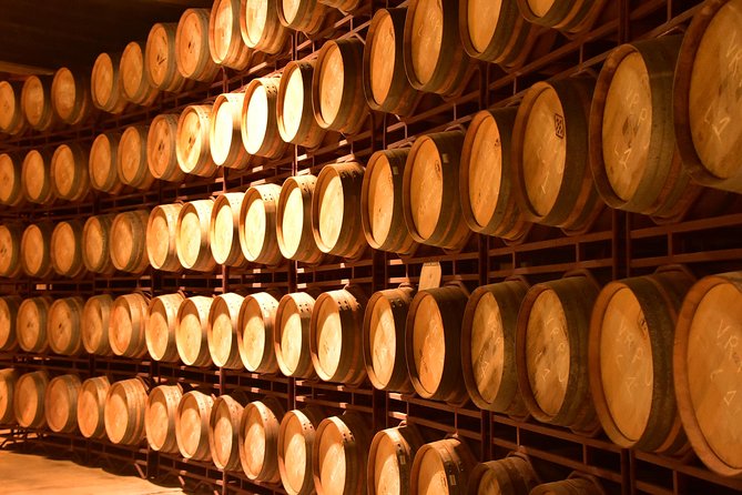 Half Day Rioja Wine Tour - Transportation and Convenience