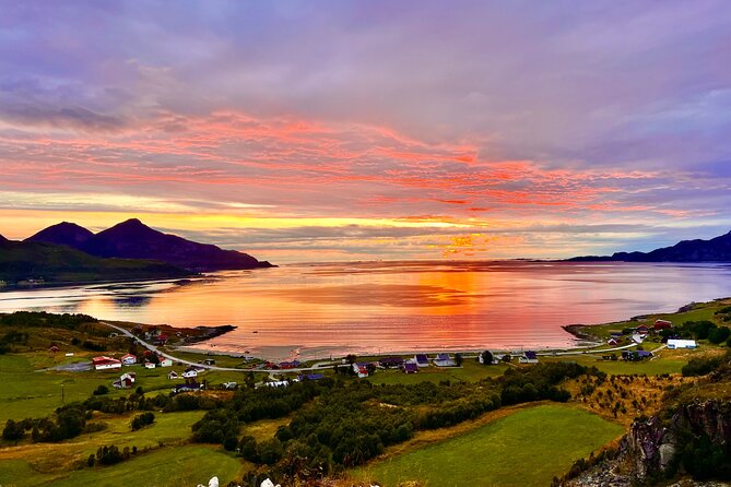 Half-Day Scenic Wildlife & Photographic Fjord Tour. - Inclusions and Amenities