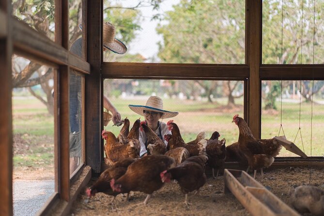 Half Day Thai Cooking Class in Organic Farm - Evening Session - The Sum Up