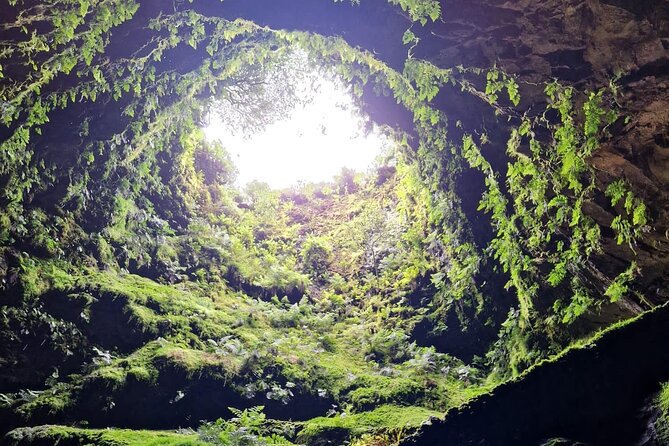 Half Day Tour to the Caves - The Unique Experience of the Caves