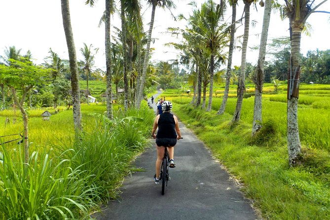 Half-Day Ubud Electric Cycling Tour to Tirta Empul Water Temple - The Balinese Lunch: A Delicious Finish