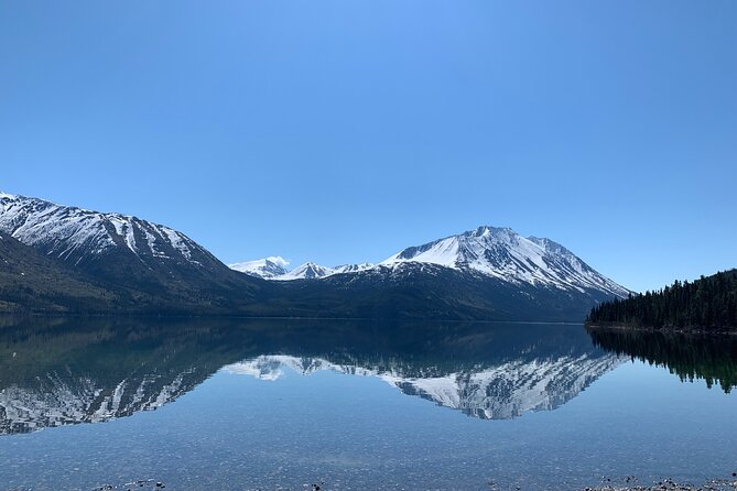 Half Day Yukon Suspension Bridge & Summit Tour - Traveler Requirements and Accessibility