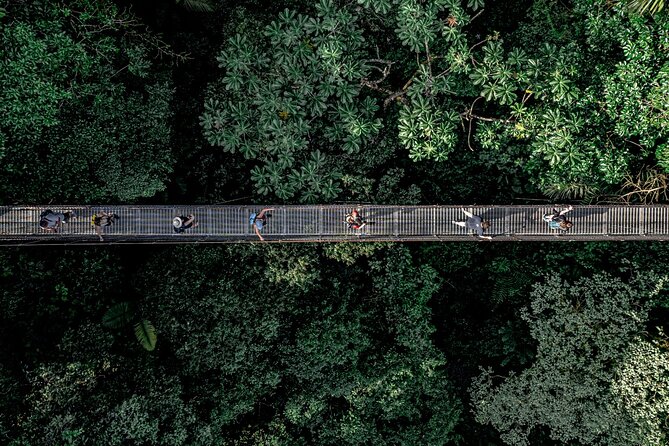 Hanging Bridges Walk in Arenal Volcano - Costs and Cancellation Policy