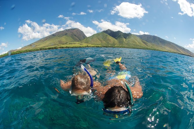 Hawaiian Outrigger Canoe Cultural and Turtle Tour - Wildlife Encounters and Scenic Views