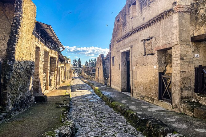 Herculaneum 3D Skip the Line Walking Tour - Group Size and Duration