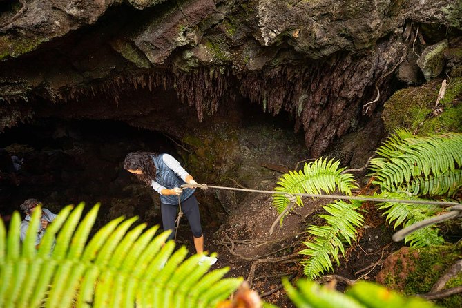 Hidden Craters Hike of Kona - Traveler Experiences and Feedback