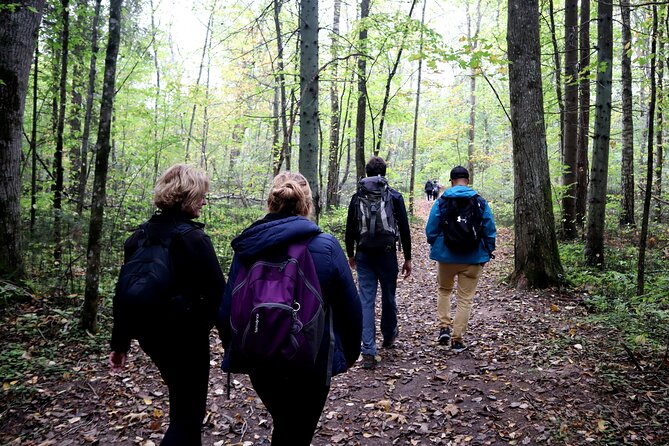 Hike In Gauja National Park - Up And Down The Switzerland Of Latvia - Accessibility and Fitness Considerations