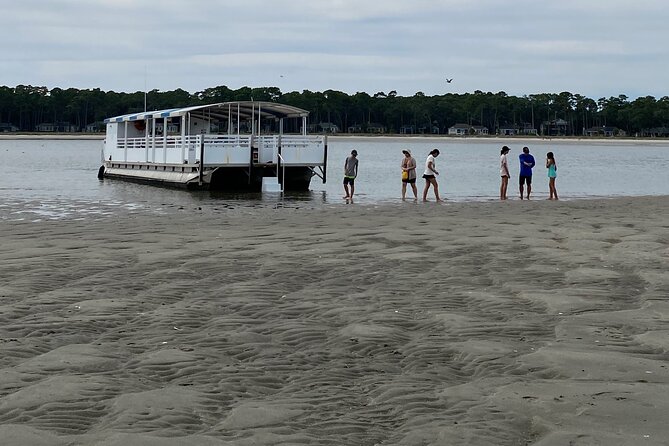 Hilton Head Dolphin Tour With Stop at Disappearing Island - Safety Considerations and Accessibility