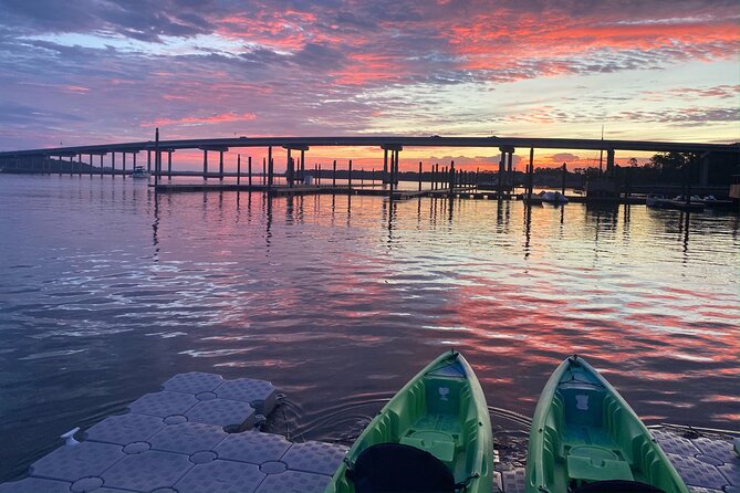 Hilton Head Guided Kayak Eco Tour - The Guide Experience: Knowledge and Friendliness