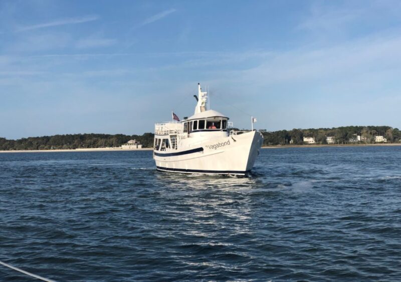 Hilton Head Island: Dolphin Nature Cruise - Who Will Love This Cruise?