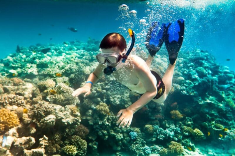 Hoi An: Cham Island Snorkeling or Underwater Walking Tour - The Sum Up