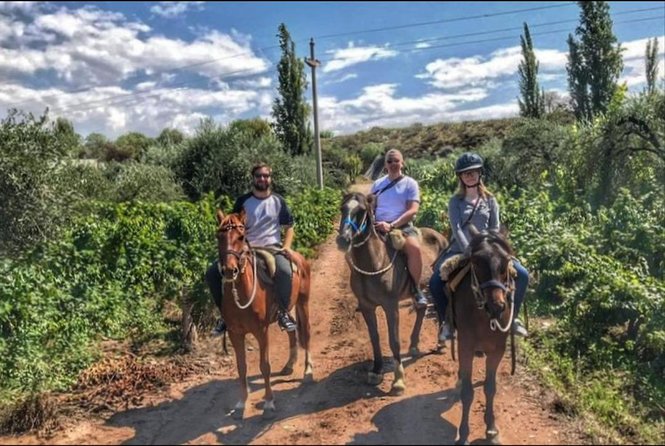 Horseback Ride Through Vineyards Followed by Gourmet Lunch/Dinner - Exceptional Customer Feedback