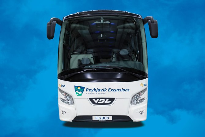Iceland: Airport Transfers Between Keflavik and Reykjavik Hotels - Accessibility and Additional Features